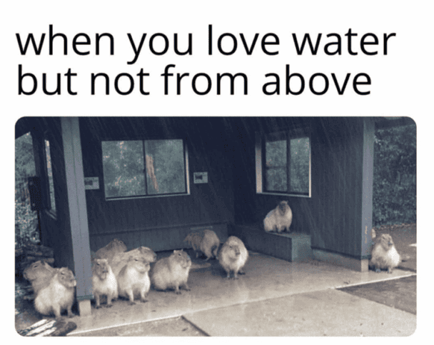 30 Funny Rainy Day Memes To Get You Through The Grey Into Summer