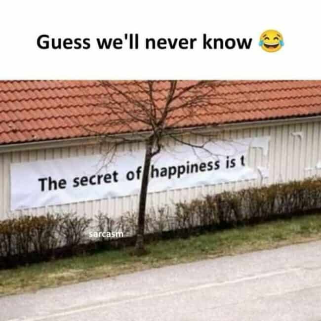 55 Funny Random Memes To Set The Weekend Off Right (May 2, 2025)