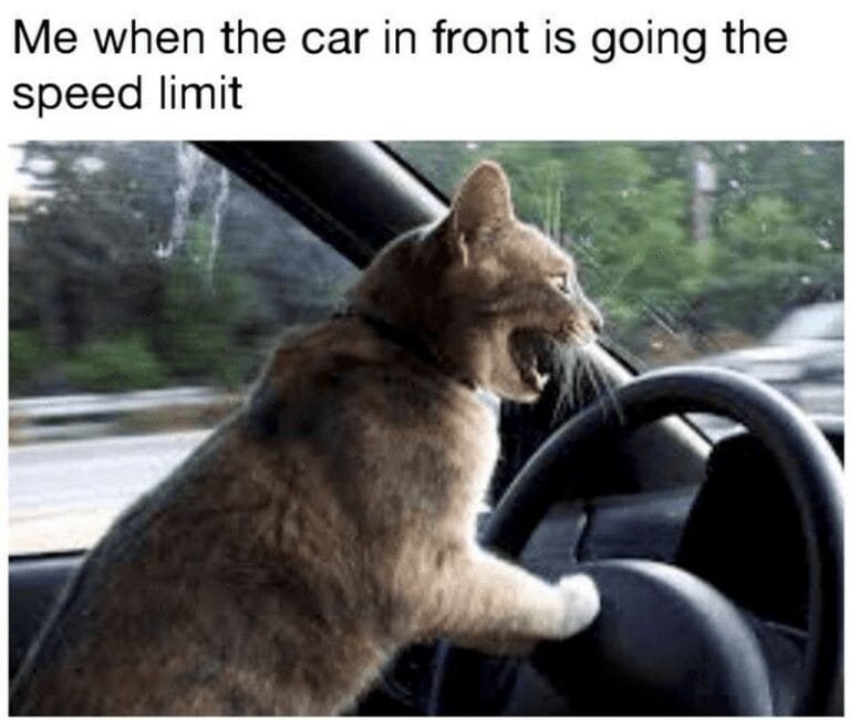 30 Funny Road Rage Memes For People Who’ve Yelled “Use Your Blinker ...
