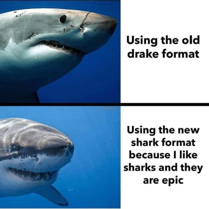 34 Fin-Tastic And Funny Shark Memes That Won't Bite... Probably