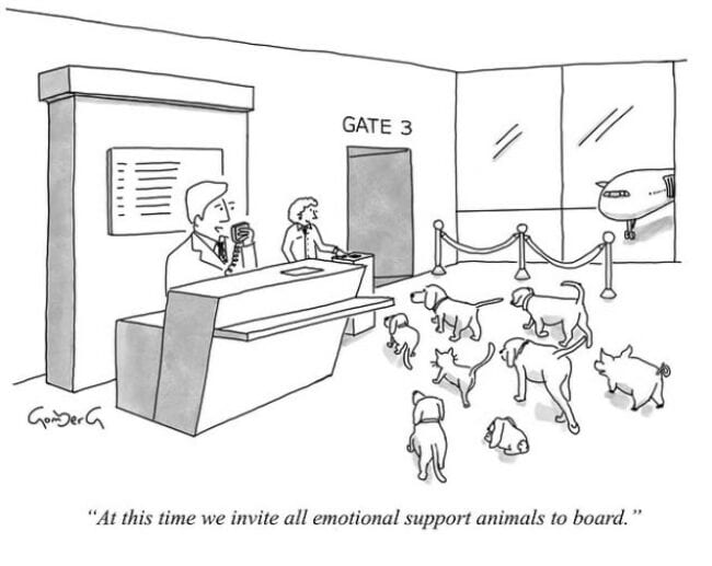 40 Clever Single-Panel Comics From Hilarious Cartoonist David Gomberg