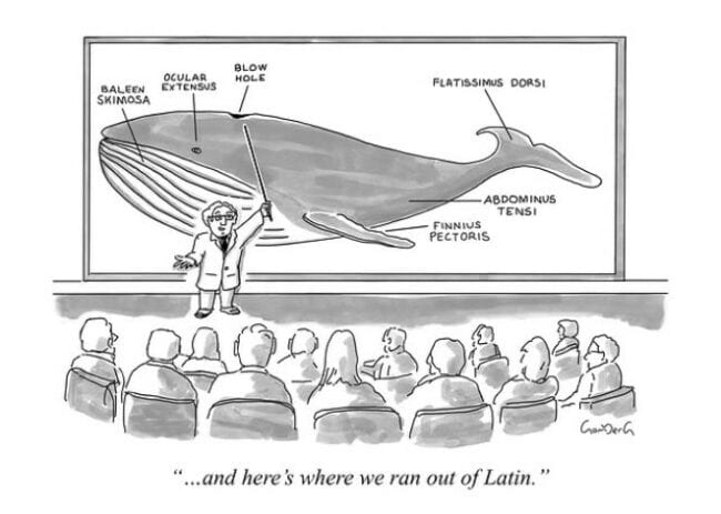 40 Clever Single-Panel Comics From Hilarious Cartoonist David Gomberg