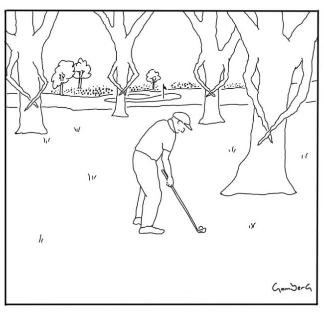 40 Clever Single-Panel Comics From Hilarious Cartoonist David Gomberg
