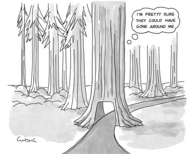 40 Clever Single-Panel Comics From Hilarious Cartoonist David Gomberg