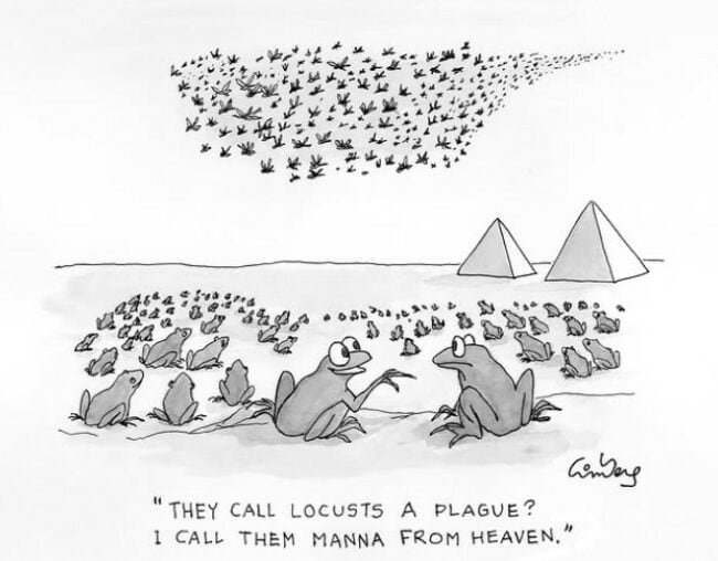 40 Clever Single-Panel Comics From Hilarious Cartoonist David Gomberg