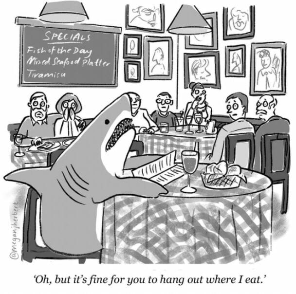25 Funny Single Panel Comics From Talented Cartoonist Megan Herbert