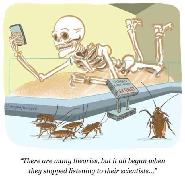 25 Funny Single Panel Comics From Talented Cartoonist Megan Herbert