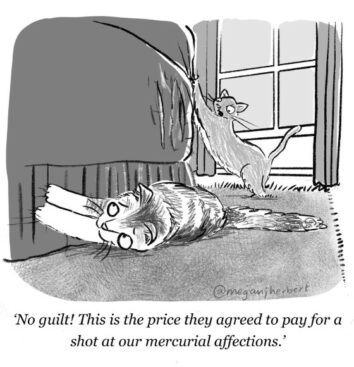 25 Funny Single Panel Comics From Talented Cartoonist Megan Herbert