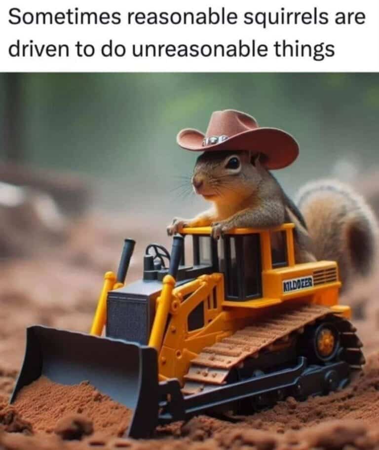 36 Funny Squirrel Memes That Might Drive Your Dog Up A Tree