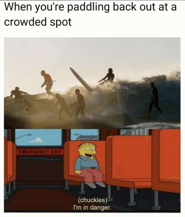 33 Funny Surfing Memes That Totally Shredded Our Last Brain Cell