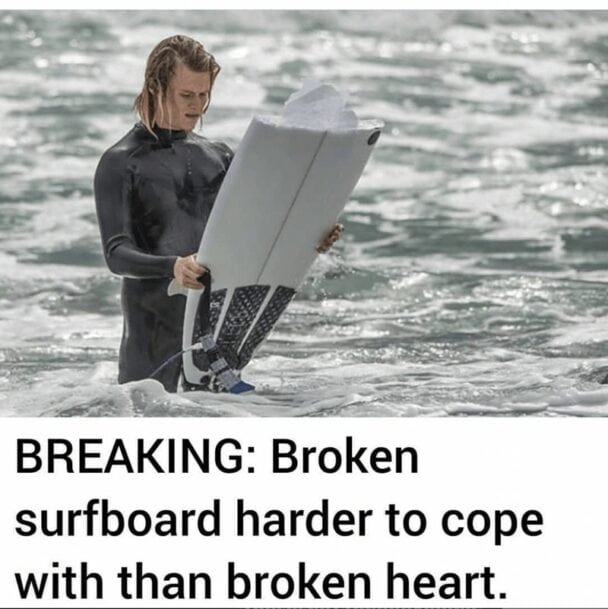 33 Funny Surfing Memes That Totally Shredded Our Last Brain Cell