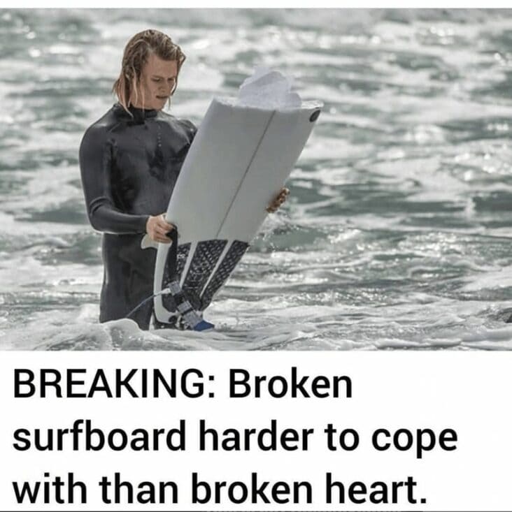 33 Funny Surfing Memes That Totally Shredded Our Last Brain Cell