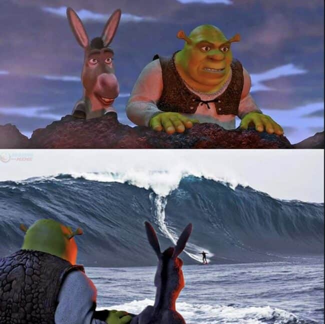 33 Funny Surfing Memes That Totally Shredded Our Last Brain Cell