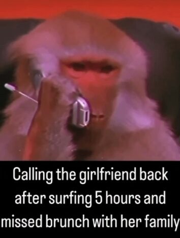 33 Funny Surfing Memes That Totally Shredded Our Last Brain Cell