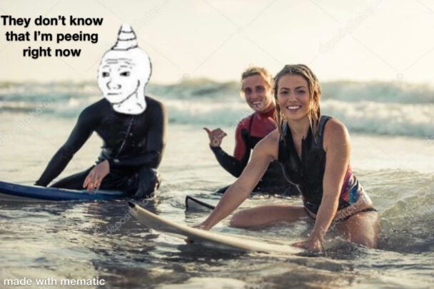 33 Funny Surfing Memes That Totally Shredded Our Last Brain Cell