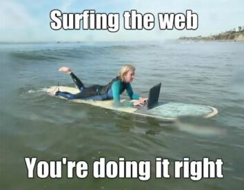33 Funny Surfing Memes That Totally Shredded Our Last Brain Cell