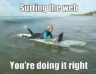 33 Funny Surfing Memes That Totally Shredded Our Last Brain Cell