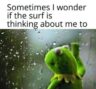 33 Funny Surfing Memes That Totally Shredded Our Last Brain Cell