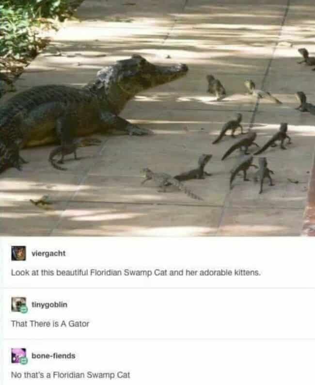 30 Delightfully Weird Tumblr Posts from the Internet’s Lovable Chaos ...