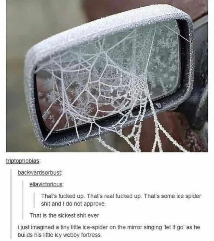 30 Delightfully Weird Tumblr Posts from the Internet’s Lovable Chaos ...