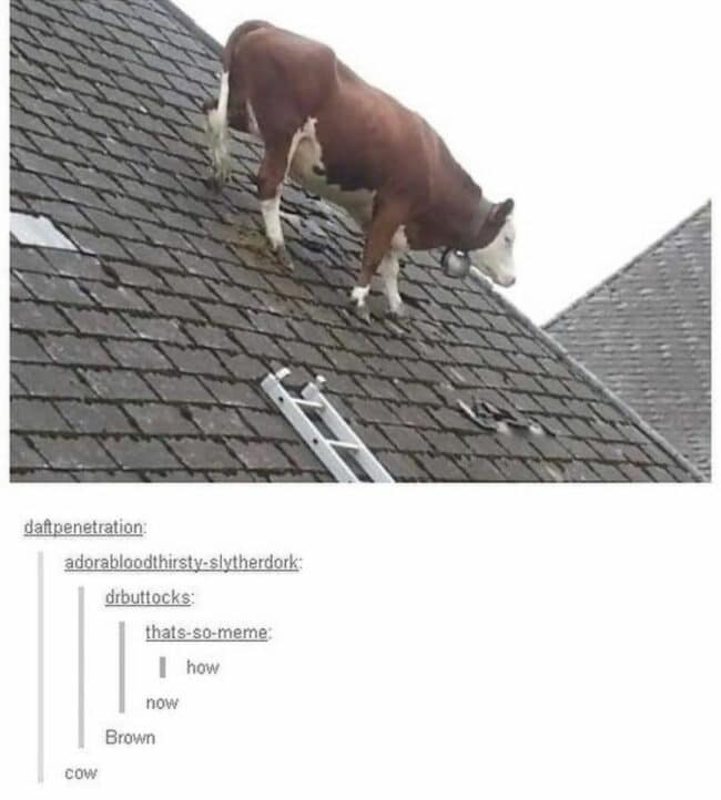 30 Delightfully Weird Tumblr Posts from the Internet’s Lovable Chaos ...