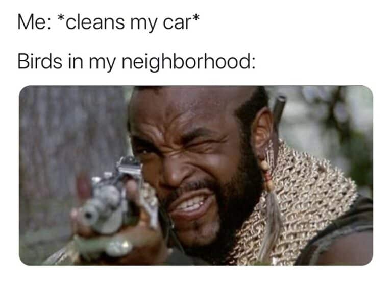 30 Nostalgic Action Hero Memes From The 70s, 80s, And 90s Packed With ...