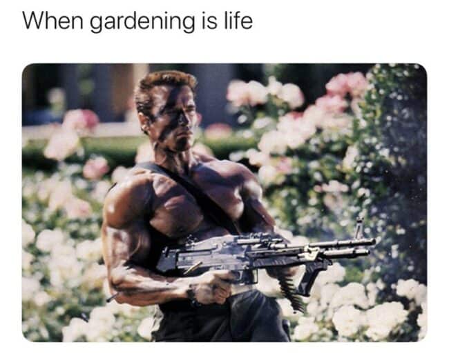 30 Nostalgic Action Hero Memes From The 70s, 80s, And 90s Packed With Action Heroes