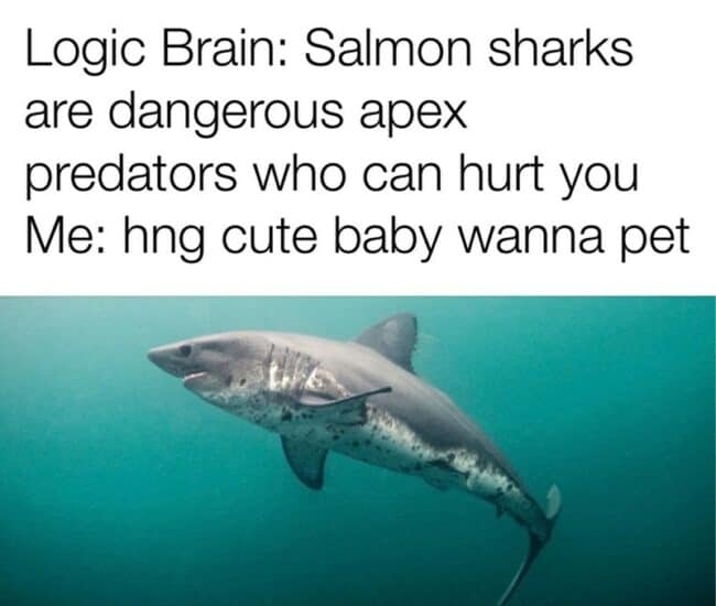 25 Ocean Life Memes That Prove Sea Creatures Are Out Here Living Their ...