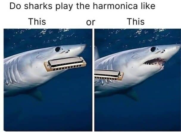 25 Ocean Life Memes That Prove Sea Creatures Are Out Here Living Their ...