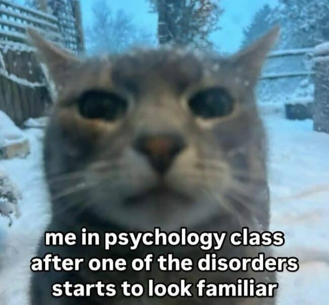 30 Relatable Mental Health Memes That Understand You Better Than Your ...