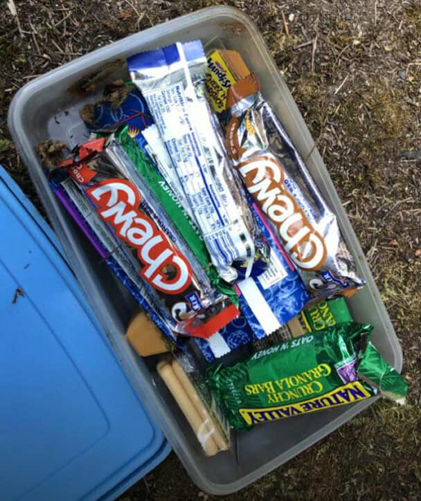 35 Strange "Treasures" People Found Hidden Inside Old Homes