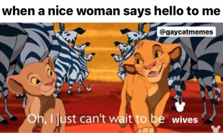 24 Pride Month Cat Memes That Are Loud, Proud, And Slightly Feral