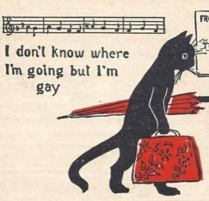24 Pride Month Cat Memes That Are Loud, Proud, And Slightly Feral