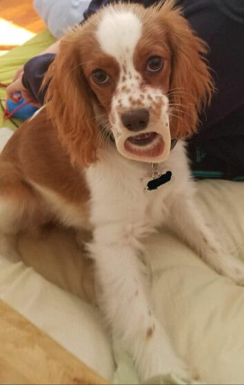 45 Optical Illusions That Will Make Your Brain Hurt For A Second Until ...