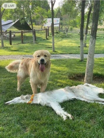 45 Optical Illusions That Will Make Your Brain Hurt For A Second Until ...