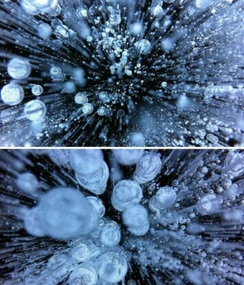 40 Insanely Cool Microscope Pictures Shared By Curious People