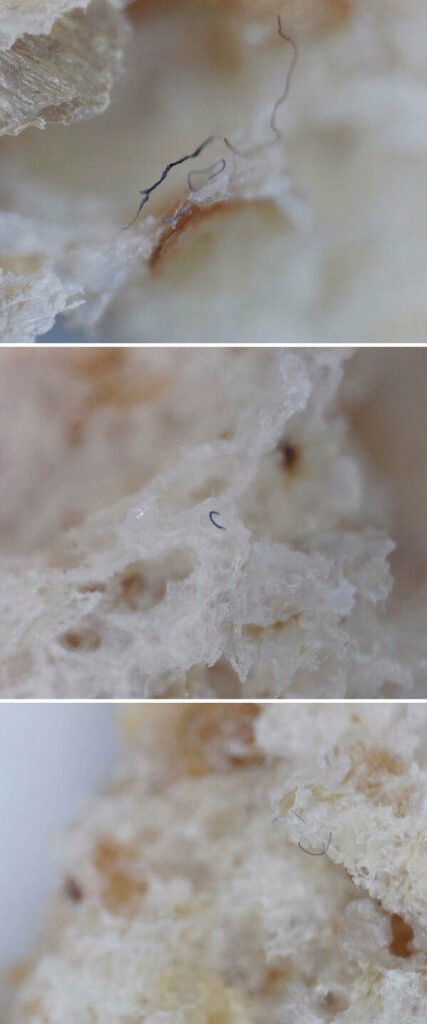 40 Insanely Cool Microscope Pictures Shared By Curious People