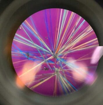 40 Insanely Cool Microscope Pictures Shared By Curious People