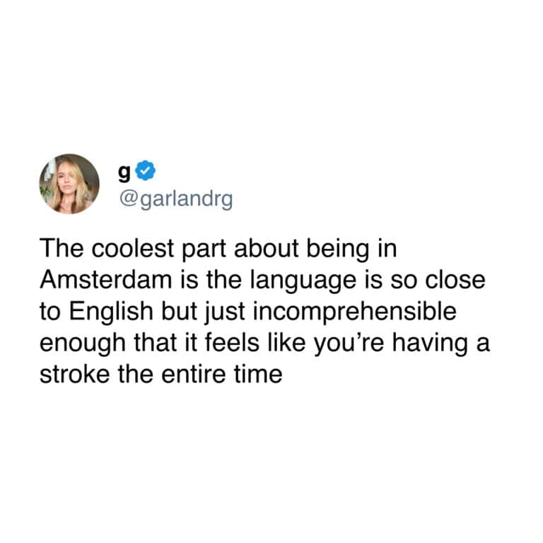 40+ Funny Foreign Language Memes That Will Have Bilinguals And ...