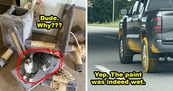 25 Funniest And Most Unfortunate Fails We Winced At This Week
