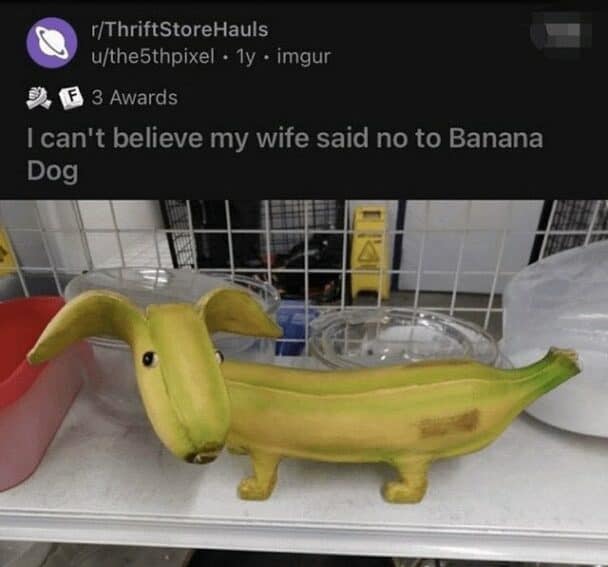 35 Funniest And Most Unhinged Reddit Posts From This Week