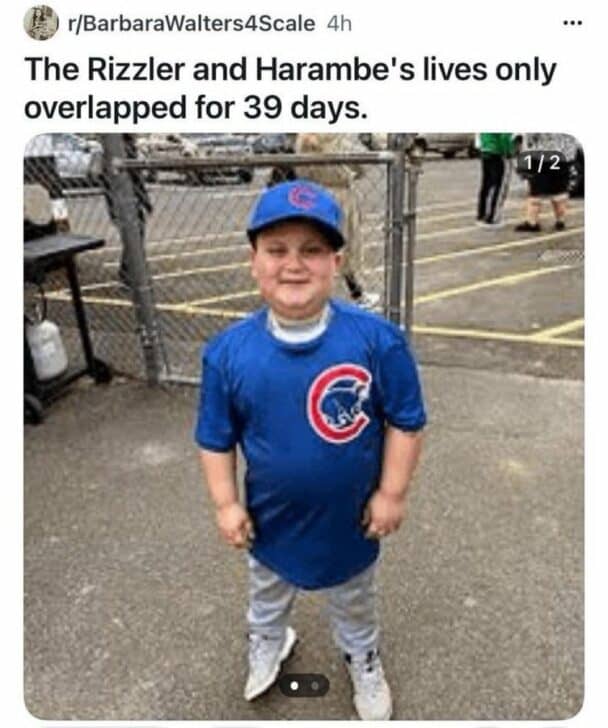 35 Funniest And Most Unhinged Reddit Posts From This Week