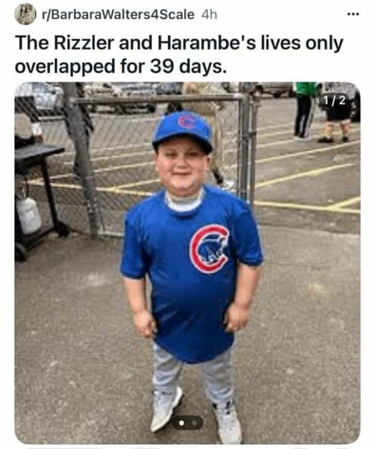 35 Funniest And Most Unhinged Reddit Posts From This Week