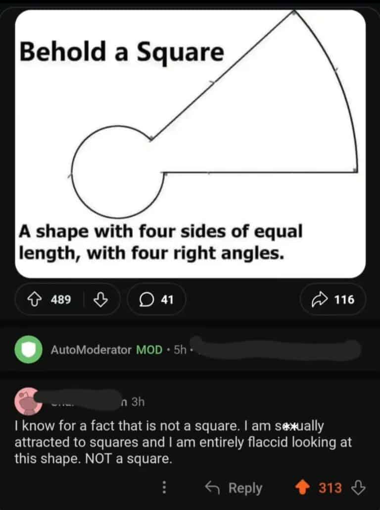 35 Funniest And Most Unhinged Reddit Posts From This Week