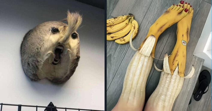 30 Funniest Awful Taste But Great Execution Pictures Proving Just ...