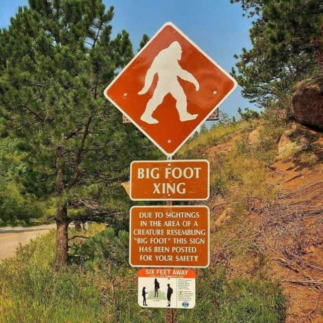 30 Funniest Bigfoot Memes For Sasquatch Lovers Who Want To Believe