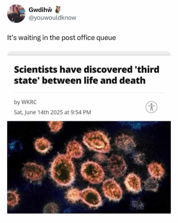 35 Funniest British Tweets Of The Week That Are Peak UK Humor