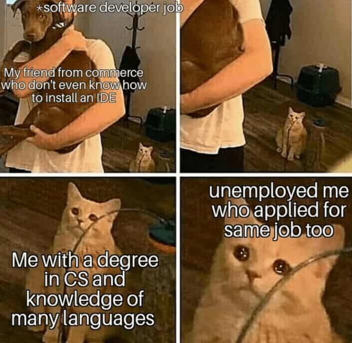 35 Funniest Coding Memes We Debugged This Week