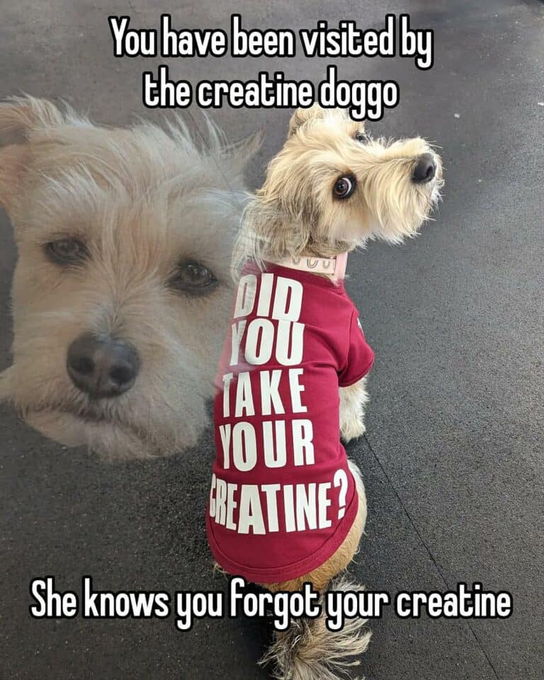 35 Funniest Gym Memes Of The Week For People Who Lift, Laugh, Love