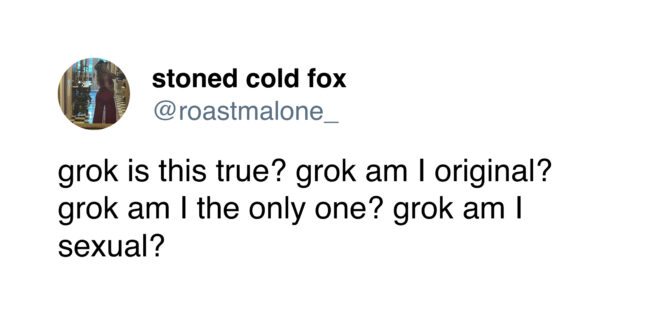 30 Funniest Tweet Roasting People Who Ask Grok To Explain Every Post On Twitter